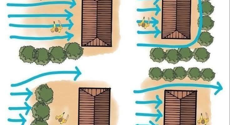 How Trees Shape and Redirect Prevailing Winds: Strategic Planting for ...
